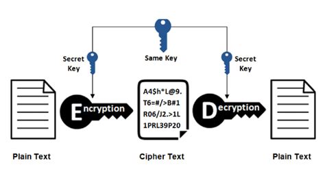 learn and build web authentication system universal