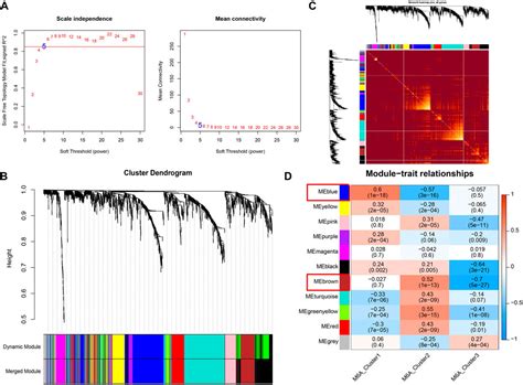 Frontiers Integrated Bioinformatical Analysis Machine Learning And