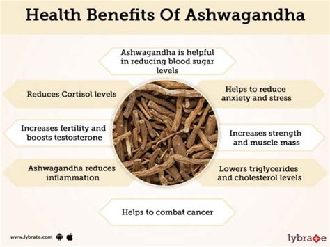 Top 15 Ashwagandha Benefits For Men In 2022 Realgoodgummies