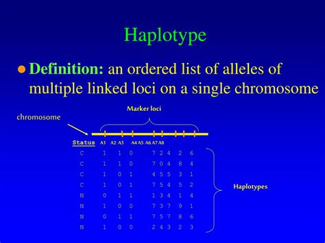 Ppt Bayesian Haplotype Inference For Multiple Linked Single