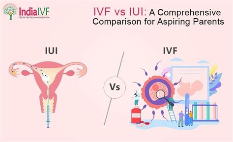 Ivf Vs Iui Understanding The Differences Success Rates And Costs