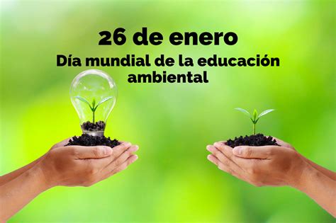 Conoce El Día Mundial De La Educación Ambiental
