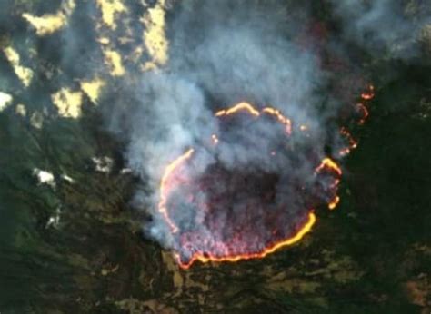 Imbas Kebakaran Hutan Gunung Lawu Jatim Hingga Minggu Malam Api