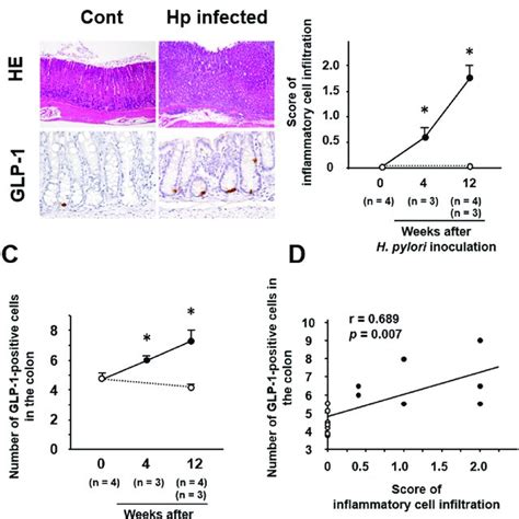 Effect Of H Pylori Infection And Its Eradication On Gi Motility A