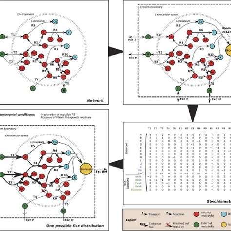 Data Sources For Metabolic Model Reconstruction And Refinement