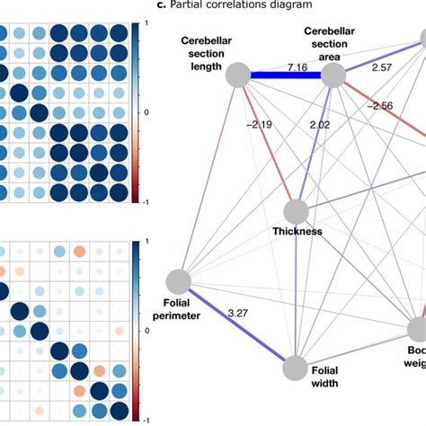 Correlation Structure A Correlation Matrix Among All Phenotypes B