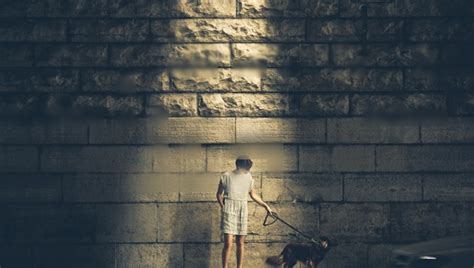 css image effect best image overlay css with source code