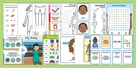 Esl Body Parts Resource Pack öğretmen Yaptı Twinkl