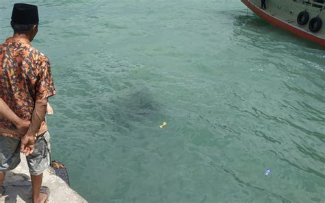 Kronologis Mobil Nyemplung Laut Di Sumenep Hingga Sopir Tewas Madura
