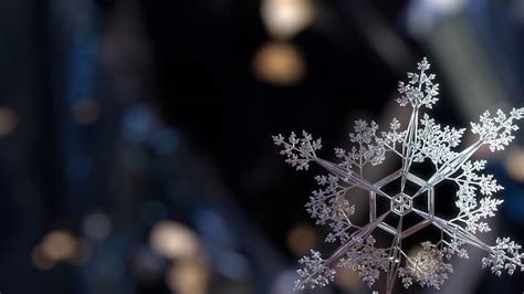 procedural snowflakes on behance