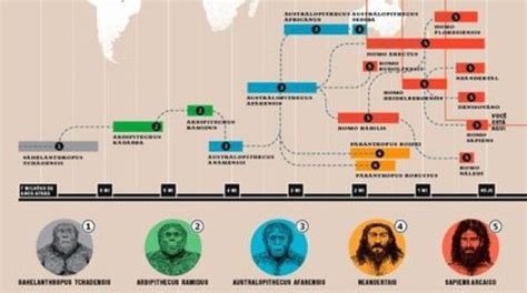 Notícias Qual A Origem Da Humanidade Segundo A Ciência On Jornal