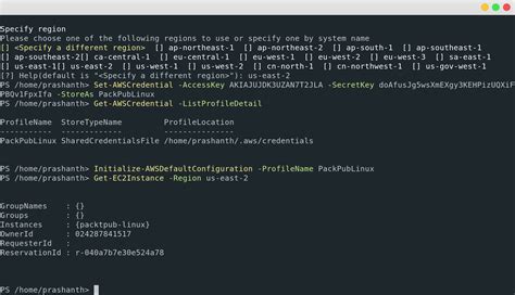connecting an ec2 linux instance using ssh from powershell powershell