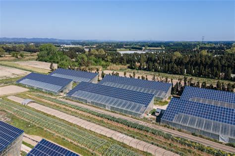 Solarpower Europe Agrisolar Best Practice Guidelines Released