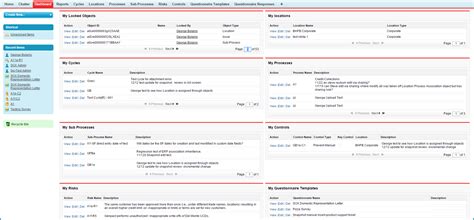visualforce dynamic conditional page rendering using user permission