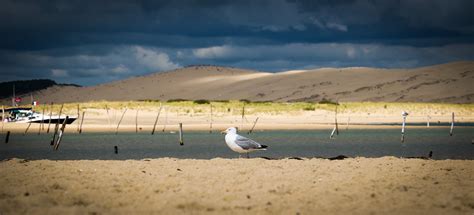 Free Images Beach Landscape Sea Coast Nature Sand Ocean