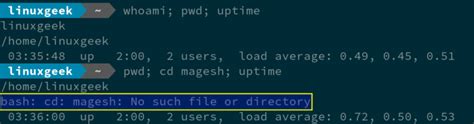 how to run multiple commands at once in linux 2daygeek