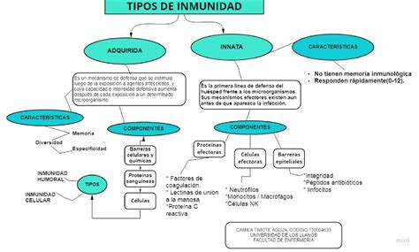 Mapa Conceptual De Inmunidad