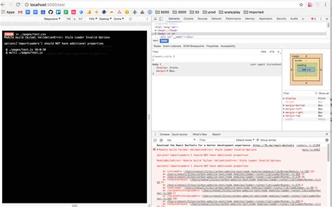 error in css module build failed validationerror