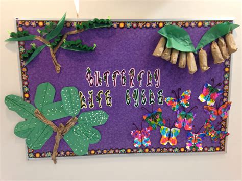 Pin By Leah Zilberman On Butterfly Unit Butterfly Life Cycle Bulletin