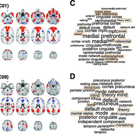 Sex Differential Relationship Between Ft And Dmn Subsystem