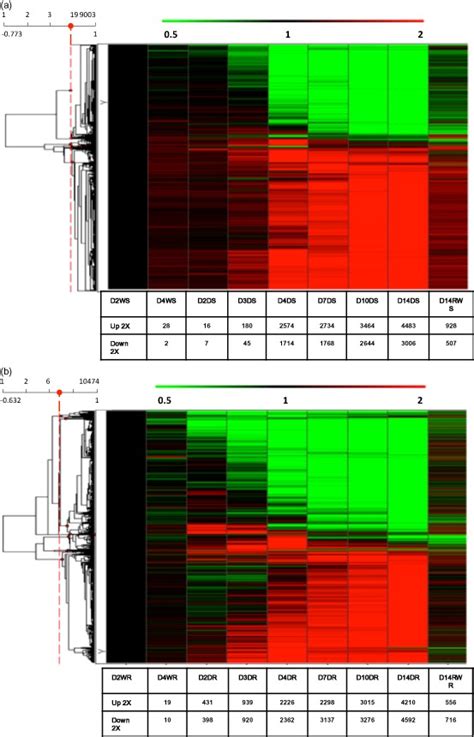 Correlation Between Leaf Water Potential Ψw And Transcript Level Of