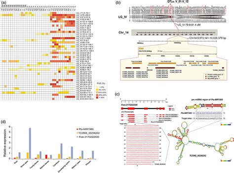 Identification And Annotation Of Quantitative Trait Loci Qtl For