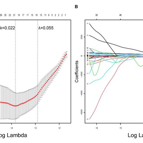 radiomics feature selection using lasso logistic regression model