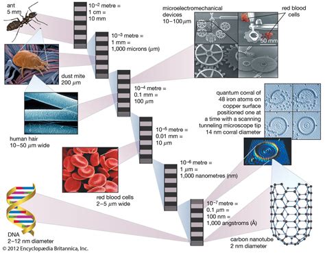 Nanotechnology Manufacturing Food Processing And Atoms Britannica