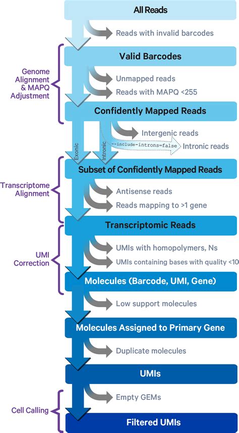 gene expression algorithms overview software single cell gene