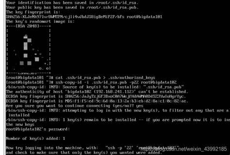linux报错：ssh无法远程连接 ssh network is unreachable 或ssh遇到port 22 no route to