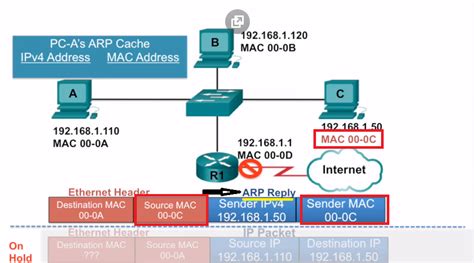 why an arp reply needs to display the source mac address twice cisco