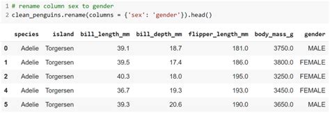 แนะนำ 12 วิธีใช้งาน pandas dataframe สำหรับผู้เริ่มต้น