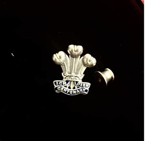 Polished Customized Metal Lapel Pins Feature Durable Fine Finished