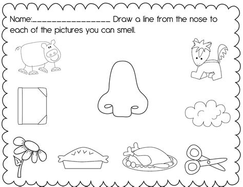 5 Senses Preschool Craft The Crazy Pre K Classroom My 5 Senses Unit