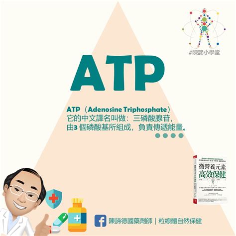 為什麼我們會「鐵腿」？德國藥劑師帶你從粒線體這個atp製造機來了解