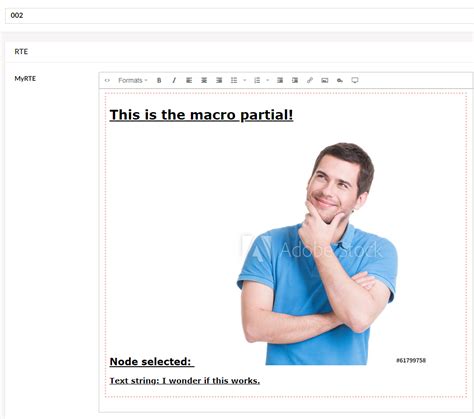 the content referenced by macro in rte is not transferred · issue 165