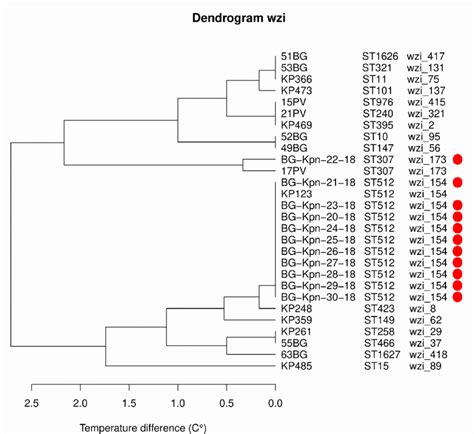 dendrogram of the hierarchical clustering analysis on the average