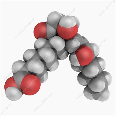 Alprostadil Drug Molecule Stock Image F004 6836 Science Photo Library