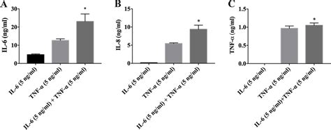 Il 6 And Tnf α Induced Pro Inflammatory Cytokine Expression In Arpe 19