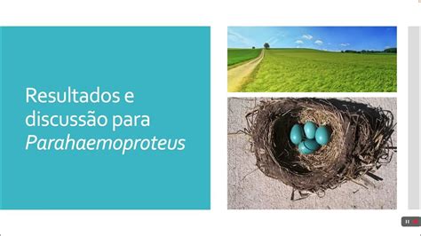 Ecologia E MacroevoluÇÃo Das Aves E A RelaÇÃo Com Parasitos Causadores