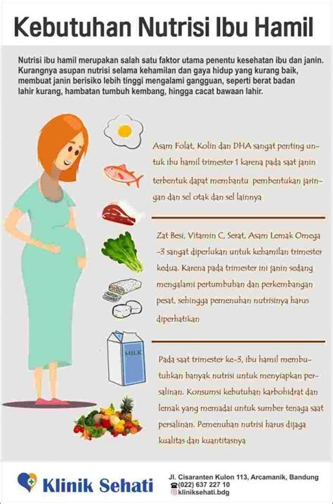 Poster Gizi Ibu Hamil Homecare24