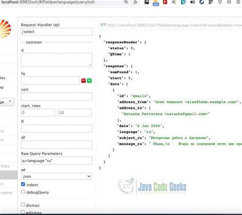 solr multilingual search field per language examples java code geeks