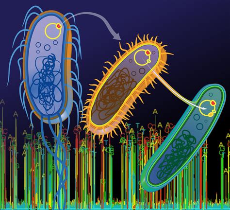 sex in the sink gene swapping bacteria are making new superbugs nbc news