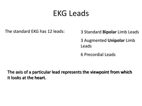 Ppt Electrocardiography Ecg Ekg Powerpoint Presentation Free