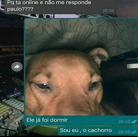 Top Memes De Cachorro En Español Memedroid
