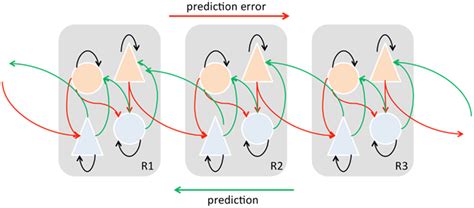 frontiers an interoceptive predictive coding model of conscious