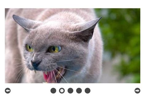 tiny jquery crossfading image slideshow plugin infinite