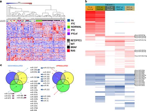rnoma from the discovery series a unsupervised hierarchical cluster
