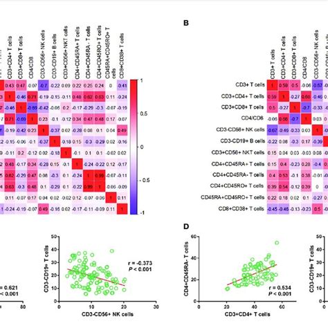 Correlation Between Immune Cell Subtypes In The Discovery And