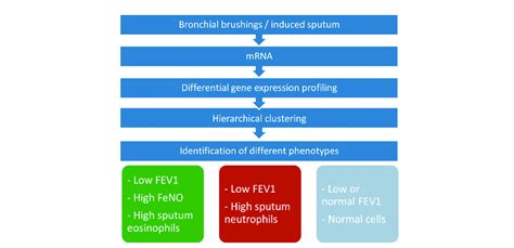 Clustering Of Asthmatic Patients Based On Differential Gene Expression